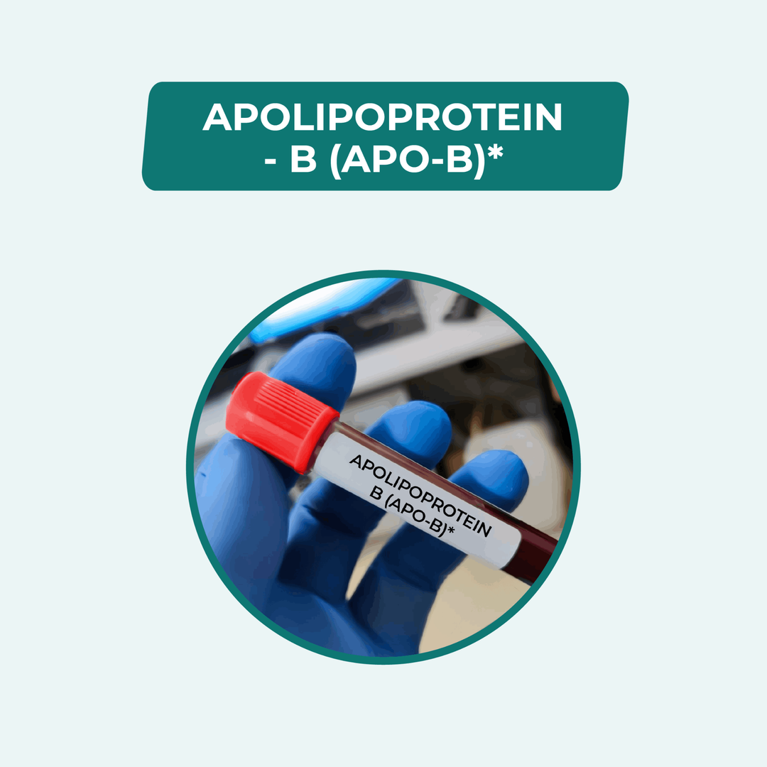 Apolipoproteins B (APO-B) - Arogga Online Lab